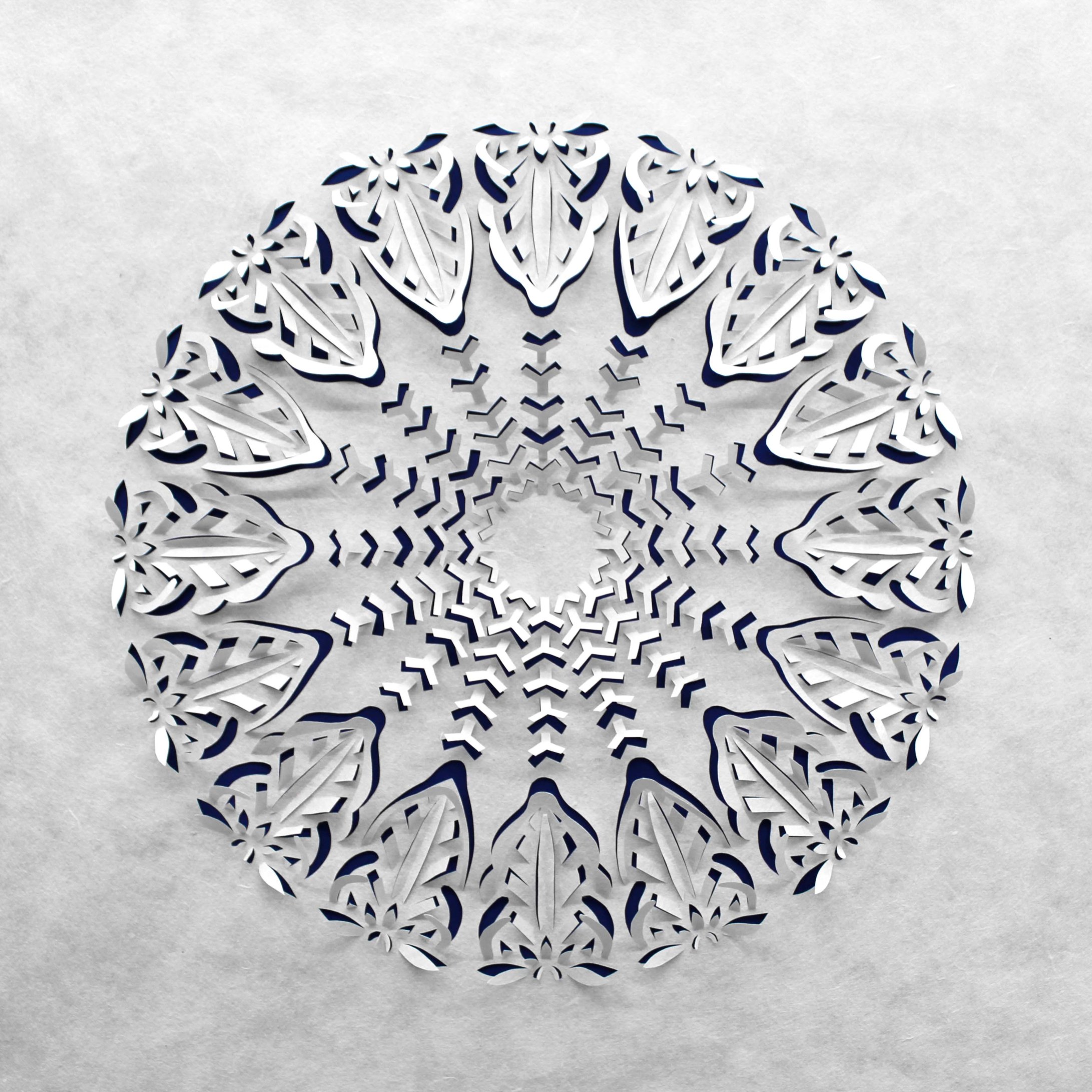 3D Hand Cut Paper – MFA Thesis – Kristen Gjesdahl